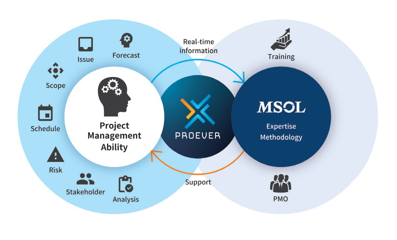 PMOaaS（ピーエムオーアース）｜サービス・ソリューション｜マネジメントソリューションズ（MSOL）サービスサイト